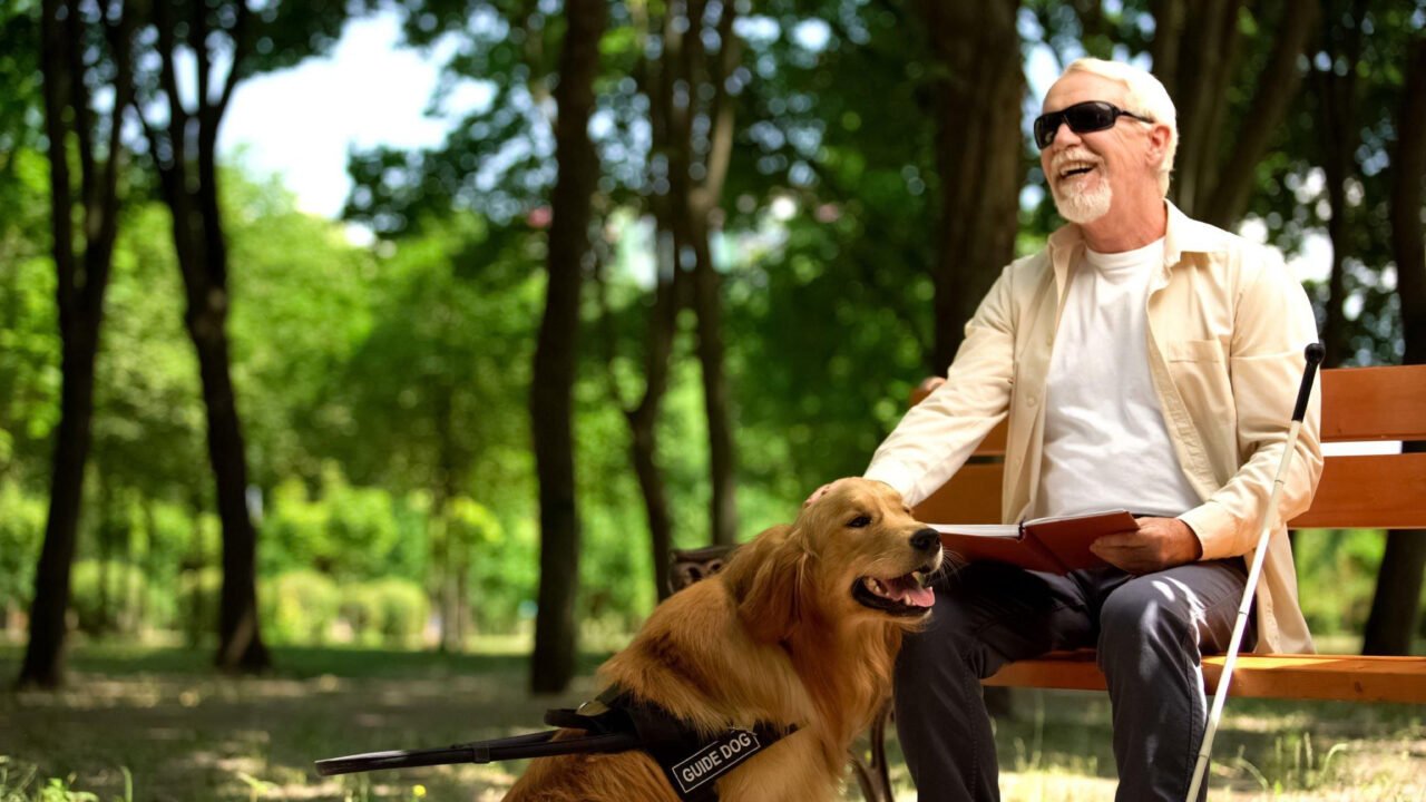 Organisation for the blinds,Blind Organizations - An Eye Care Blog